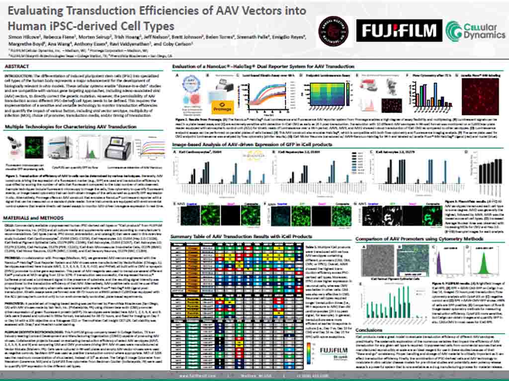 Human iPSC-derived Cells as a Platform to Determine AAV Transduction Efficiency